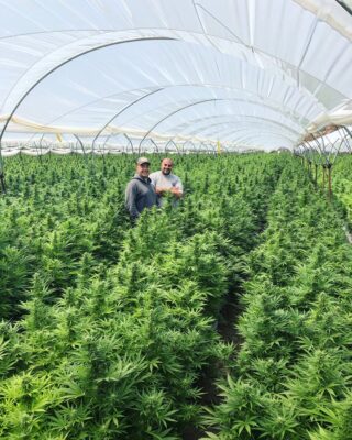 HOME - WEEDMAPS DISPENSARY